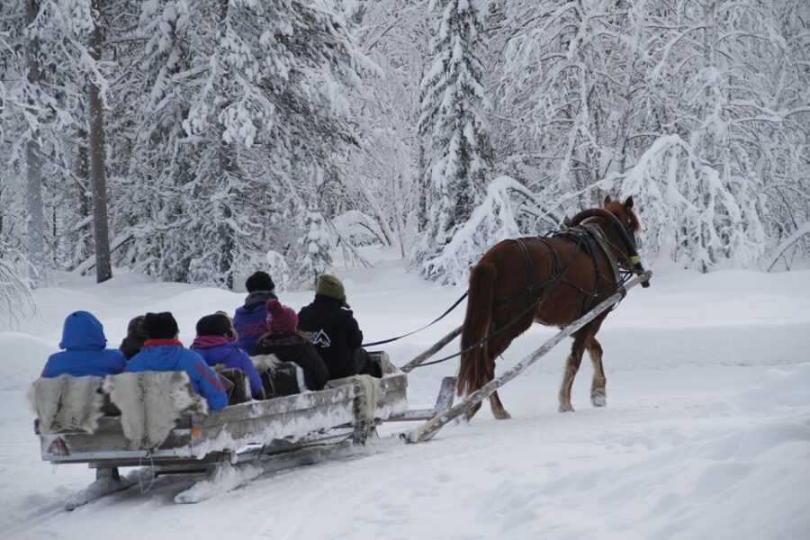 Levi, Polar Lights Tours: One Horse Open Sleigh Ride - Who Will Love This Tour?