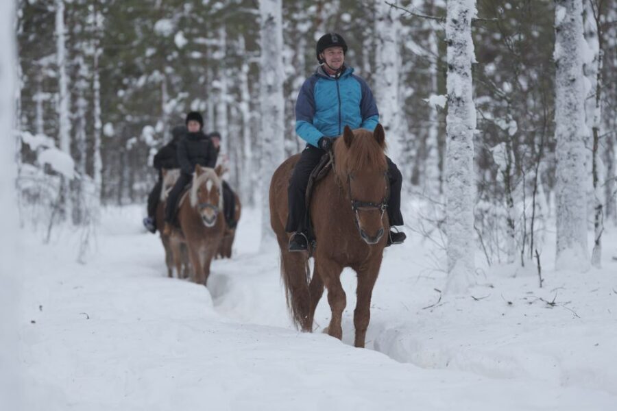 Levi: Snowy Forest Ride and Polar Lights Tours - Final Thoughts: Who Is This Tour For?