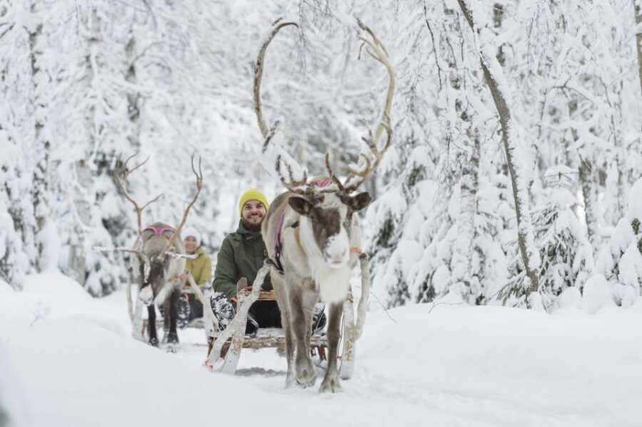 Levi: Winter Highlights Tour with Snowmobiling - Visiting the Reindeer and Husky Farms