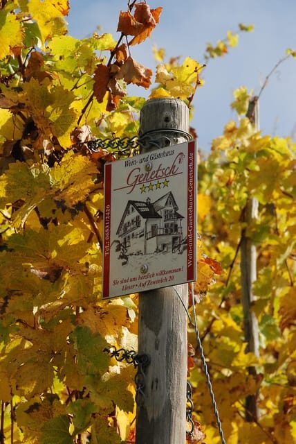 Lieser: covered wagon ride, the rolling wine tasting with picnic basket - Practical Details and Considerations