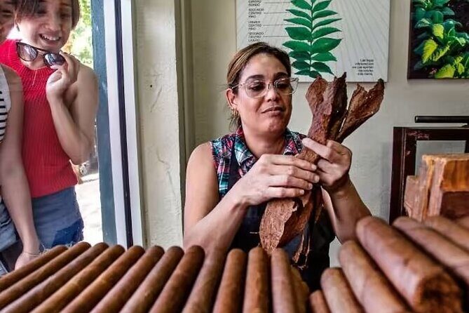Little Havana Walking Tour + 1 Hour Everglades Airboat Ride - How the Tour Balances Adventure and Comfort