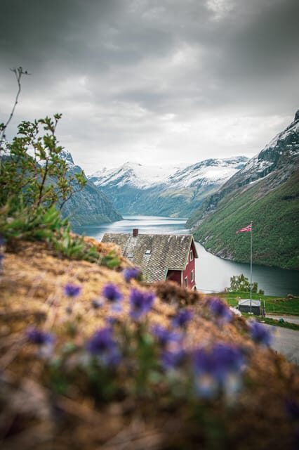 Ljøen, Hellesylt: Ljøen Farm Tour - The Sum Up