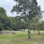 Loch Ness,Cawdor Castle,Outlander Sites &More from Inverness - Beyond the Sites: Practical Tips for Your Trip