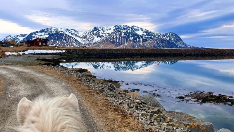 Lofoten: Guided Horse Riding Tour Over Hov and Hovsund - Why We Loved the Experience