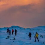 Lofoten: Half Day Snowshoe Tour - Practical Details and Value