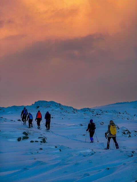 Lofoten: Half Day Snowshoe Tour - Practical Details and Value