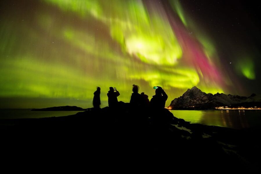 Lofoten: The Aurora Jæger  Northern Lights Hunt with Local - What to Expect During the Tour
