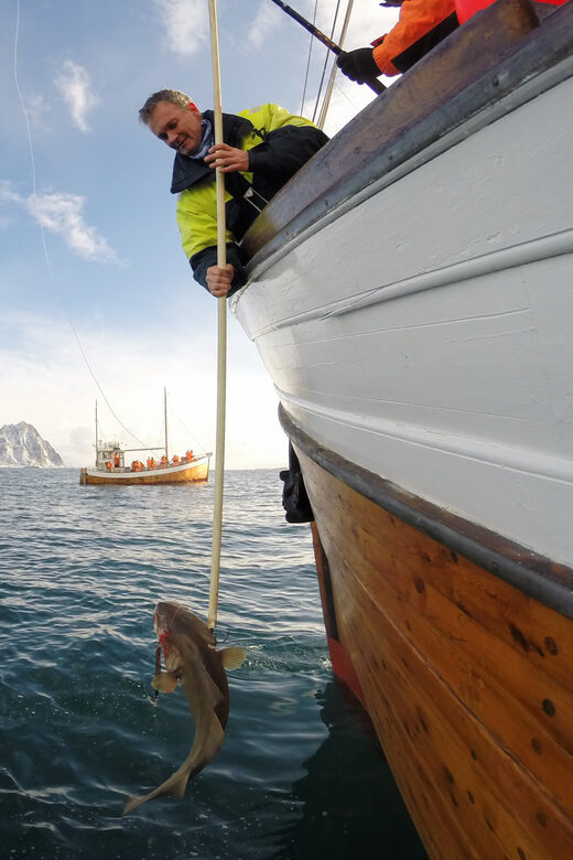 Lofoten: Traditional Fishing Trip - Authenticity, Education, and Fun in One