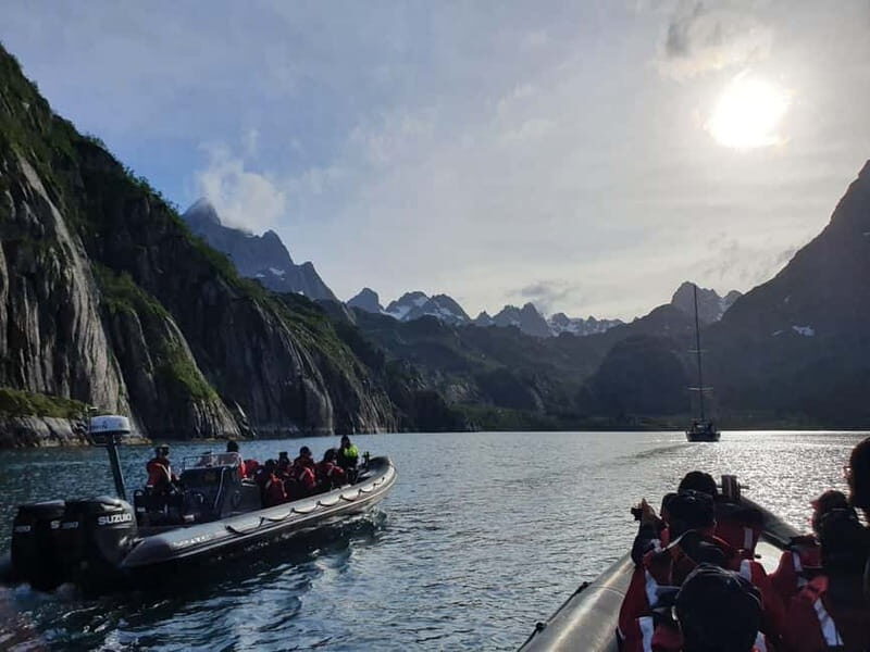 Lofoten: Trollfjord Sea Eagle Safari by RIB Boat - What to Expect During the Tour