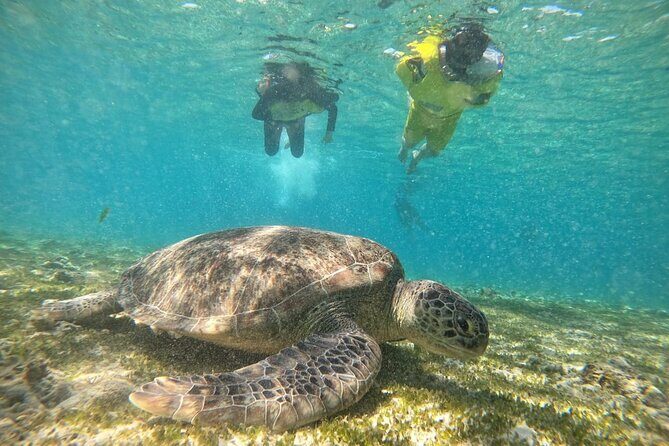 Lombok Customize Tour - Things to Keep in Mind