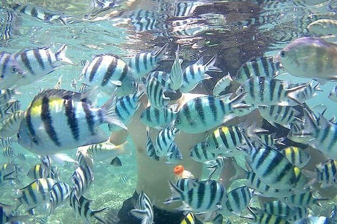 Lombok Tour Package, 4 Days 3 Nights - Transportation and Practical Details