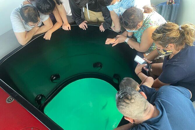 Long Beach Glass Bottom Boat Eco-Tour - An In-Depth Look at the Tour Experience