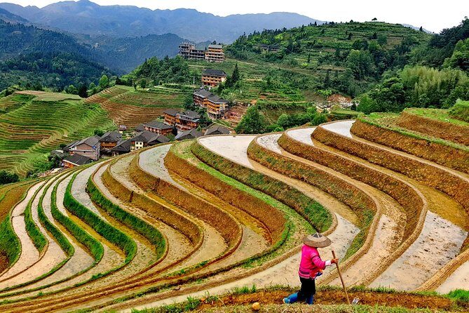 Longji Rice Terraces Day Tour from Guilin hotel - Transportation and Comfort