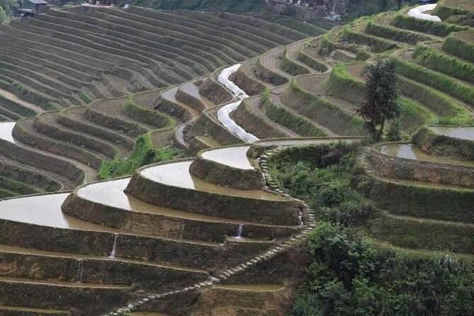Longji Rice Terraces with the Dazhai Cable Car Private Day Tour - What Travelers Say