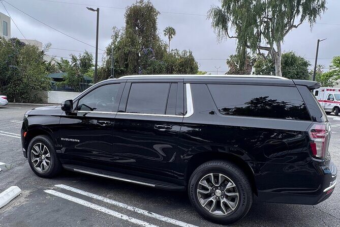 Los Angeles to or from Palm Springs Transfer - Authentic Feedback and Expectations