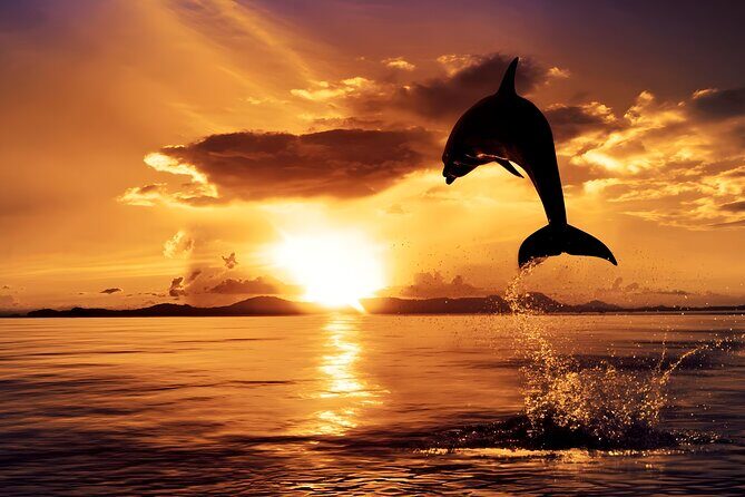 Lovina Sunrise Dolphin Watching and North Bali Tour - Key Points