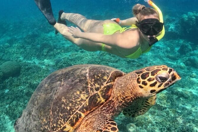 Lovina Watching Dolphin with Sunrise-Snorkeling-Waterfall Tour - What’s Included and What’s Not