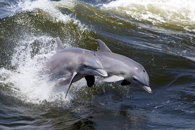 Lowcountry Lunch Buffet Cruise in Hilton Head - FAQs