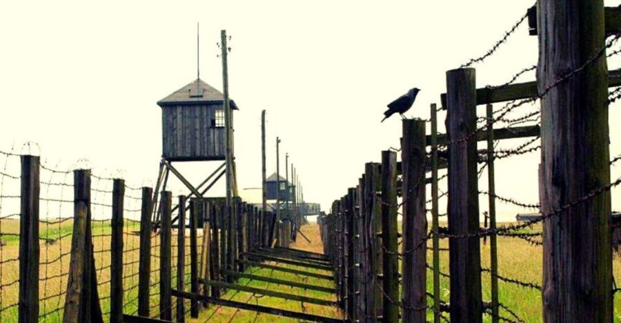 Lublin & Majdanek Small-Group Tour from Warsaw with Lunch - A Closer Look at the Tour Experience