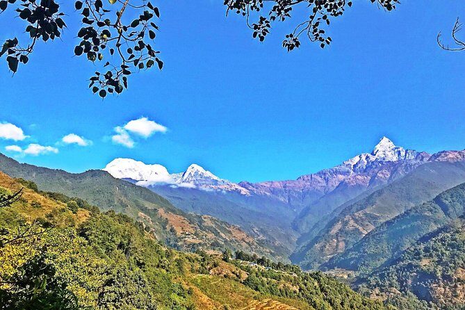 Luwang Village Home Stay Easy Trek with Tea Garden Visit - The Practicalities: Transport, Accommodation, and Value