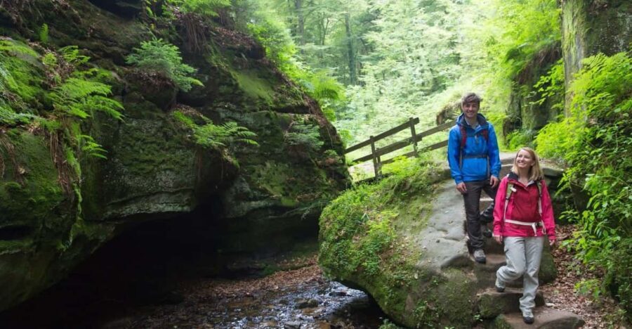 Luxembourg: Nature, History and Castles Full-Day Tour - The Full-Day Luxembourg Experience: What to Expect