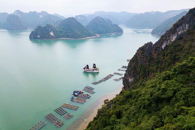 Luxury 5* Halong Bay 1 Day 8 hours cruising and Limousine - A Deep Dive into the Experience