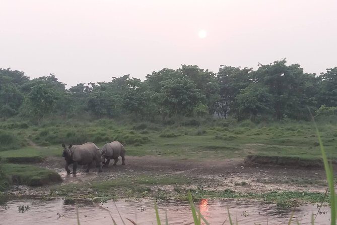 Luxury Chitwan Jungle Safari - 3 Days - What’s Included and What’s Not