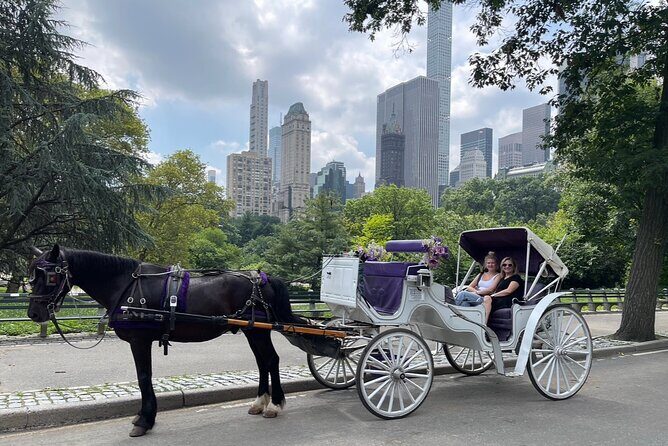 Luxury Horse and Carriage Tours in Central Park - Why This Tour Matters
