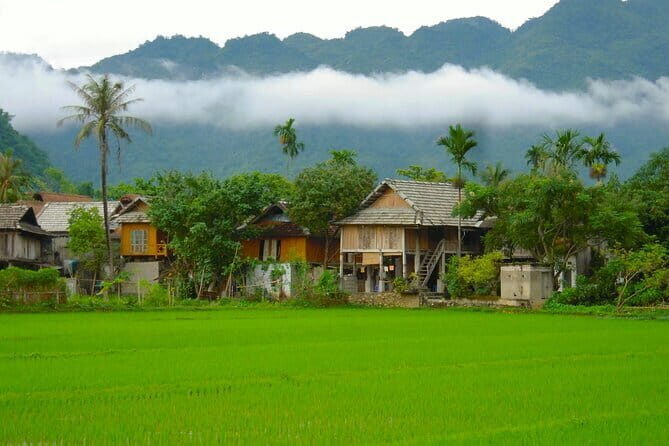 Luxury Mai Chau Day Trip Discover Hidden Gem & Stunning Cave - Analyzing the Value