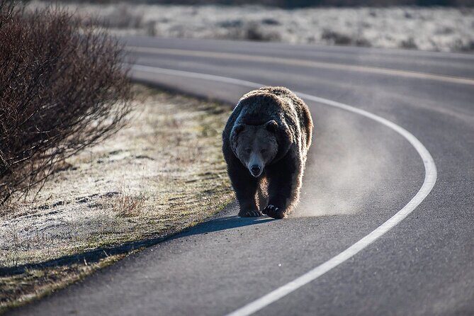 Luxury Private Grand Teton National Park Full-Day Tour - The Cost: Is it Worth the Investment?