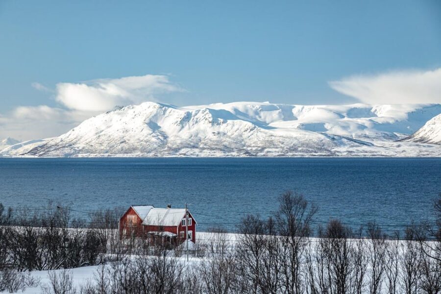 Lyngen: Snowmobile Safari with Lunch in seaside Restaurant - Detailed Breakdown of the Itinerary