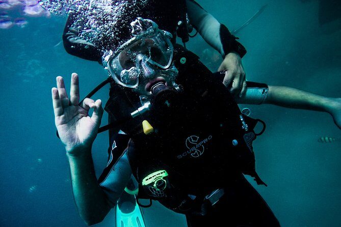Maafushi: Discover Scuba Diving in Maldives (for Beginners) - What the Tour Includes and What to Expect