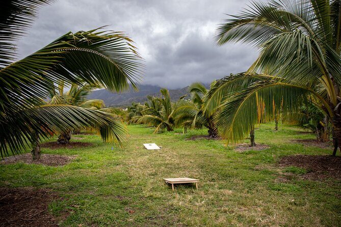 Macnut Tour, Picnic lunch and Maui Bees - What Our Reviewers Say