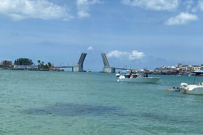 Madeira Beach - Shell Key - Dolphins - Half Day Private Boat Tour - Overview of the Experience