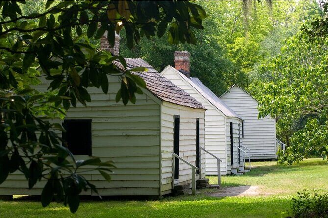 Magnolia Plantation Tour with Luxury Transportation and Admission - The Experience: What to Expect