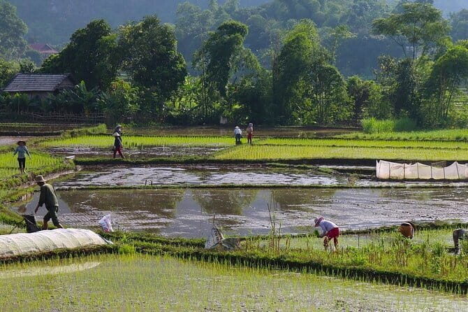 Mai Chau Day Trip: Explore the Beauty of Rural Villages by Bike - Practical Details and Tips