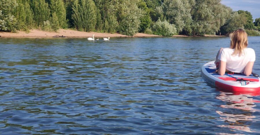 Mainz: Stand Up Paddling Tour on the Rhine River - The Practicalities