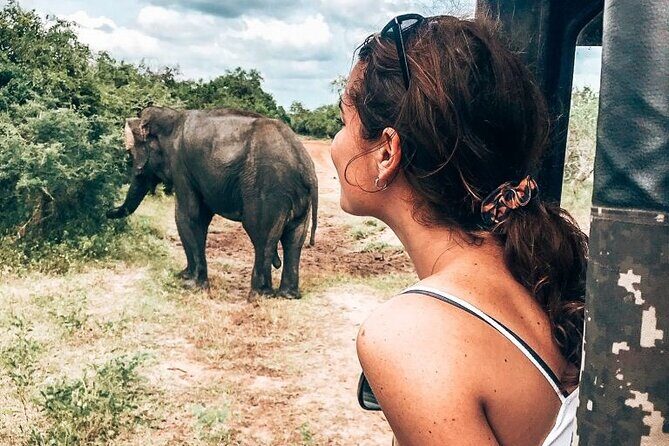 Majestic Mammals Of Sri Lanka: Whale & Elephant Safari Tour - Lunch and Photo Stop at Coconut Tree Hill
