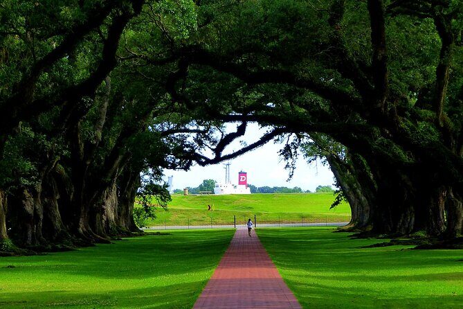 Majestic Oak Alley Plantation Tour - Analyzing the Price and Value