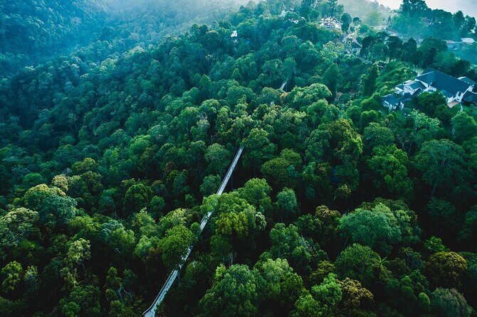 Malaysia: Penang Habitat Entry Ticket - Exploring The Habitat Penang Hill