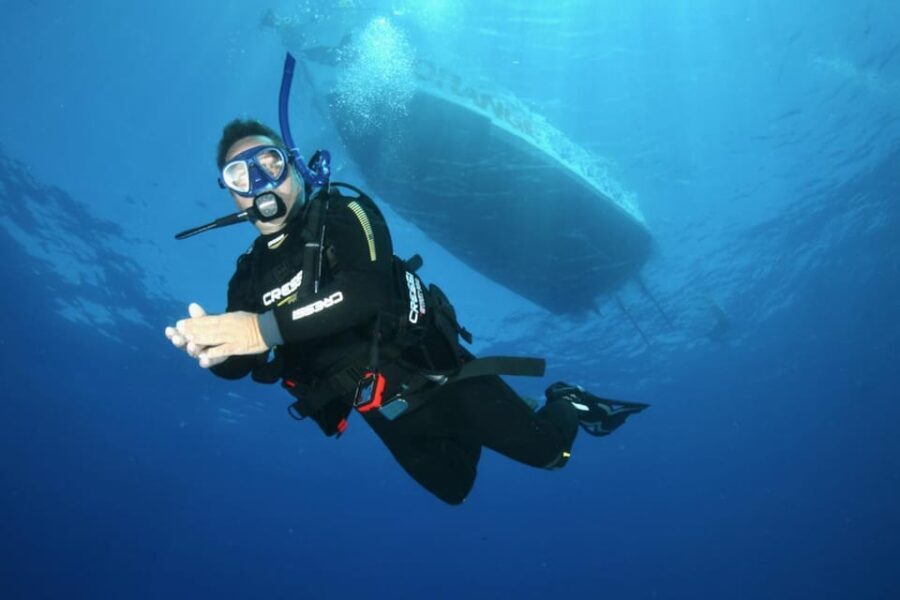 Malta: 1-Day PADI Scuba Diver Certification Beginner Course - Who Should Consider This Course?