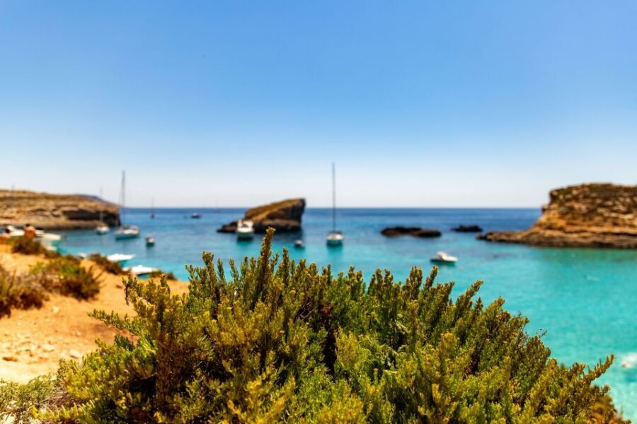Malta: Blue Lagoon, Comino & St Paul's Islands Cruise - Why This Tour Offers Great Value