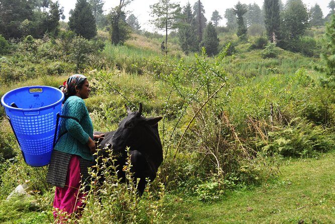 Manali Village Tour - Tasting Himalayan Home Cooking