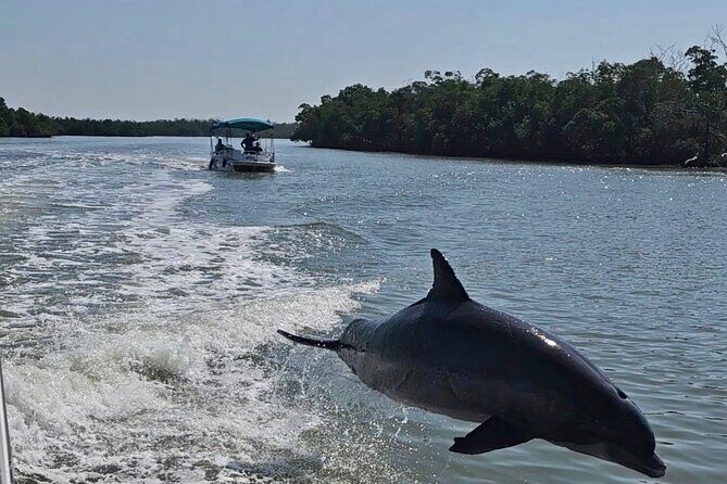 Manatee, Dolphin and 10,000 Islands Sunset Cruise! - Final Thoughts: Is It Worth It?