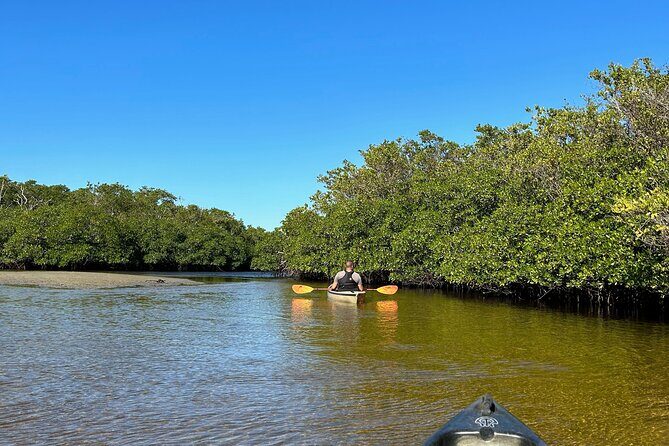 Manatees, Grasslands and Mangroves kayak Tour (Small Group Tour) - The Guides: Knowledge and Hospitality