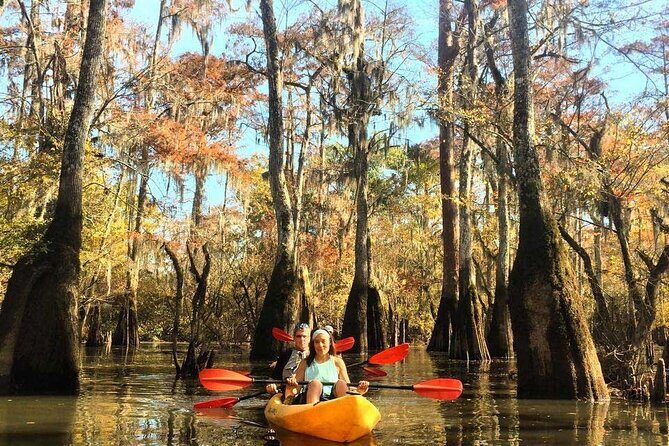 Manchac Swamp EXTENDED Kayak Tour with Pickup - The Value: Is It Worth the Price?