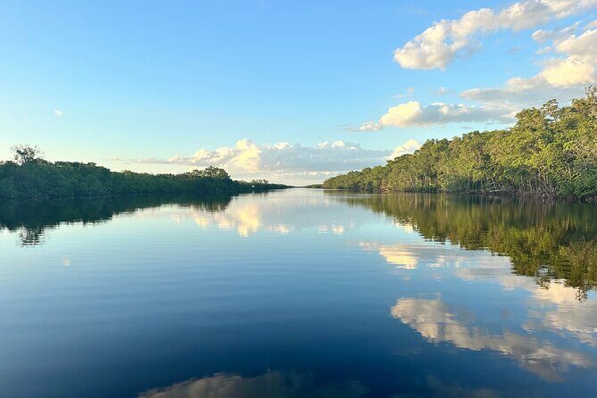 Mangrove and Gulf Excursion Tour - A Closer Look at the Tour Experience