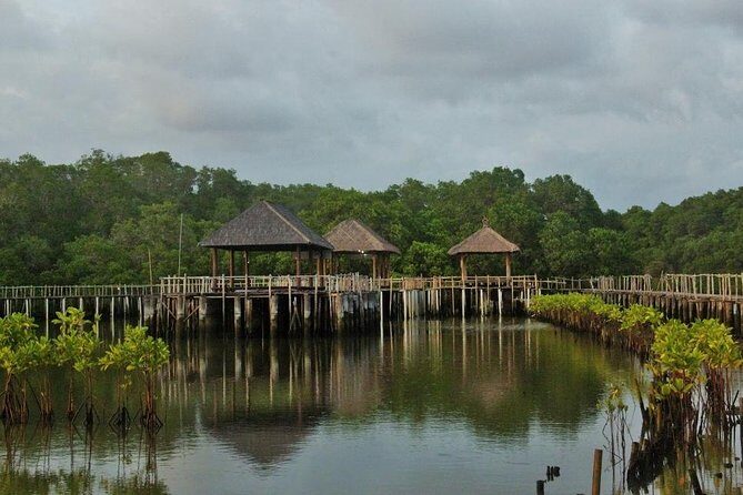 Mangrove Forest Bali Canoe Eco Tour - The Itinerary in Detail