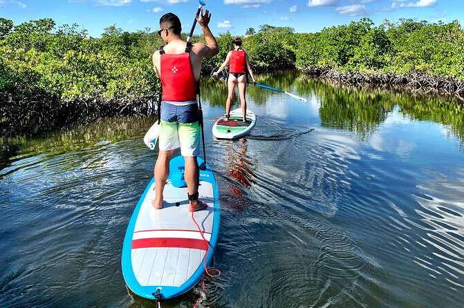 Mangrove SUP Safari - Wildlife & Nature Education