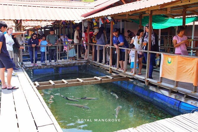 Mangrove Tour with Snorkelling - Practical Details and Tips